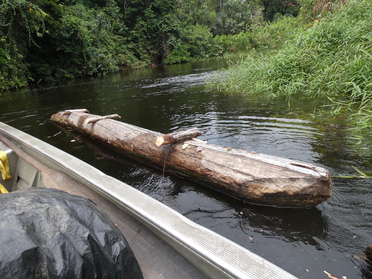 Our Final Report on a Twelve-Month Project in the Republic of Congo